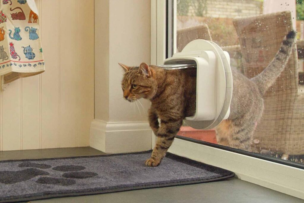 Cat Flap Installation: A Beginner's Guide